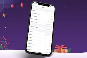 What's iPhone model number meaning and their first letter?
